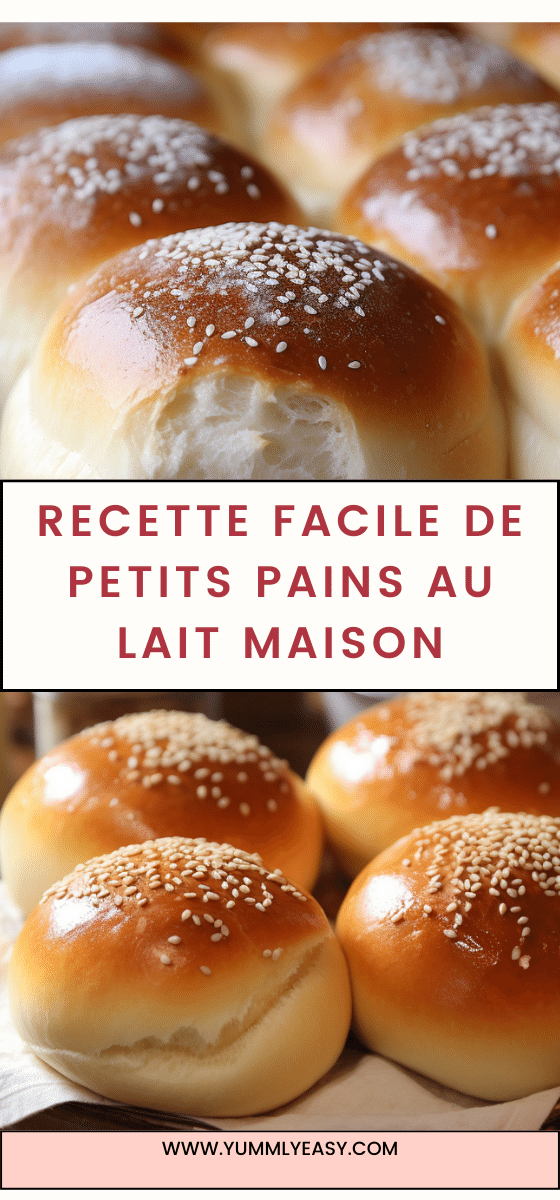 Recette Facile de Petits Pains au Lait Maison